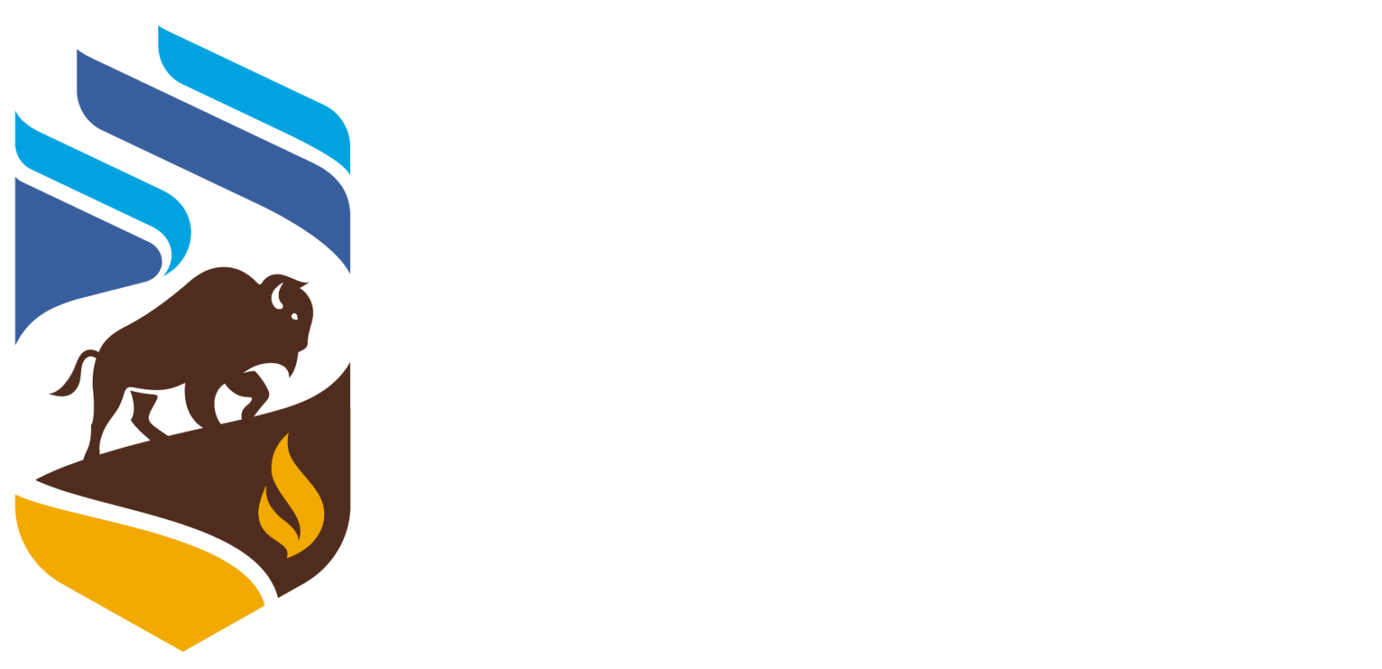 Cognitive Behaviour Therapy with mindfulness (CBTm) - Skills for Life