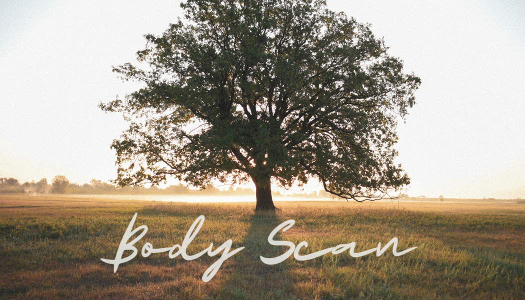 Mindfulness Resources - Cognitive Behaviour Therapy with mindfulness (CBTm)