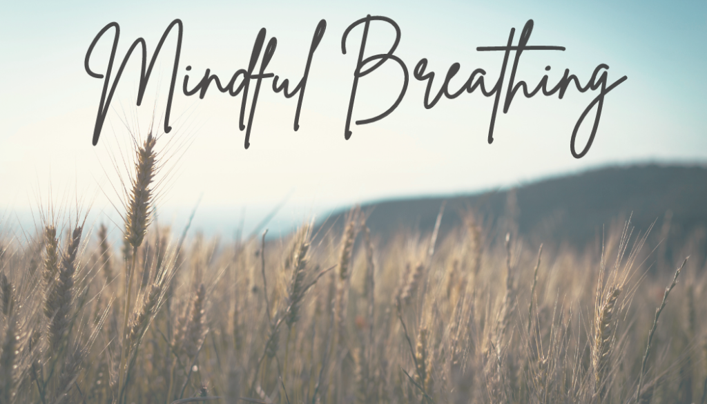 Mindfulness Resources - Cognitive Behaviour Therapy with mindfulness (CBTm)